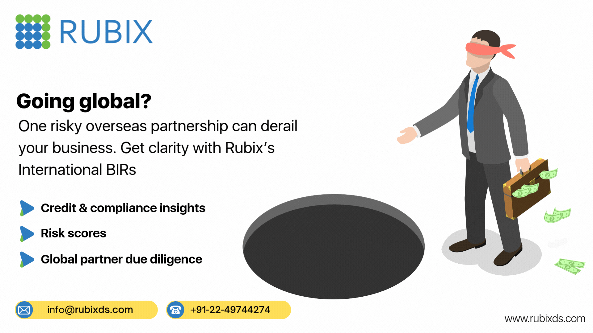 Going global, Dont go Blind. Get clarity with Rubix’s International BIRs.